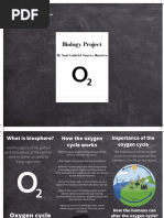 Bio Oxygen Cycle | PDF