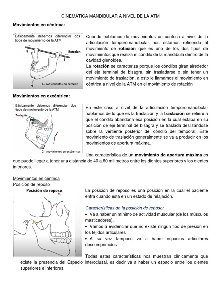 Cinemática Mandibular A Nivel de La Atm | PDF | Odontología | Sistema ...