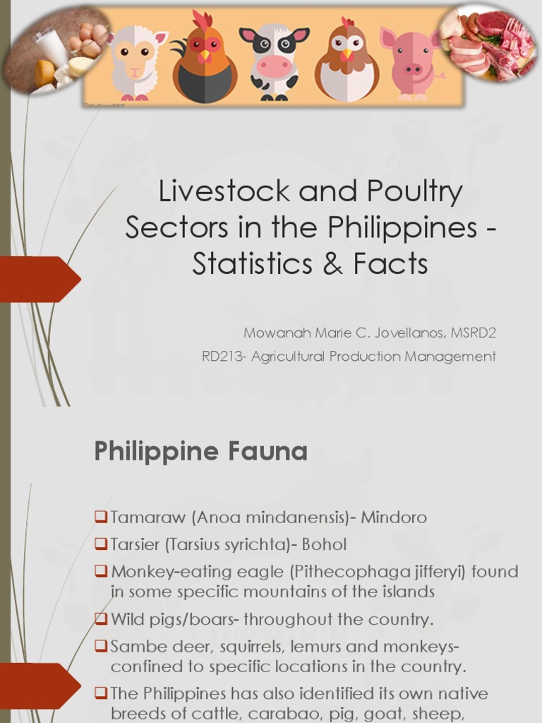 Animal Production Management Livestock and Poultry | PDF | Livestock ...