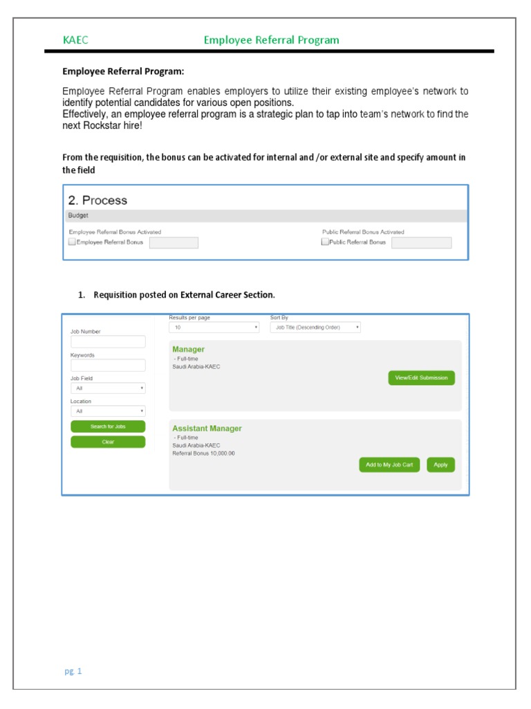Implementing an Effective Employee Referral Program: Guidelines and ...