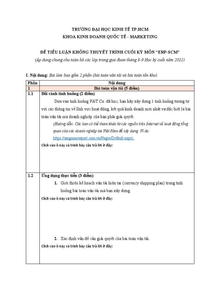 Đề Thi Tlott Môn Erp | PDF