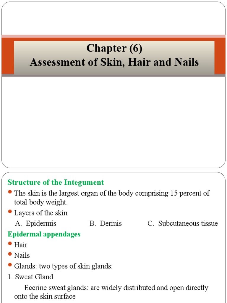 Chapter (6) Assessment of Skin, Hair and Nails | PDF | Skin ...