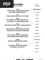 Son Al Rey | PDF | Ocio