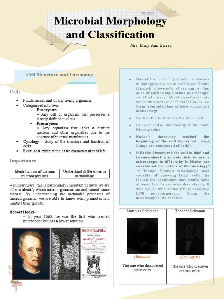 Microbial Taxonomy and Classification | PDF | Cell (Biology ...