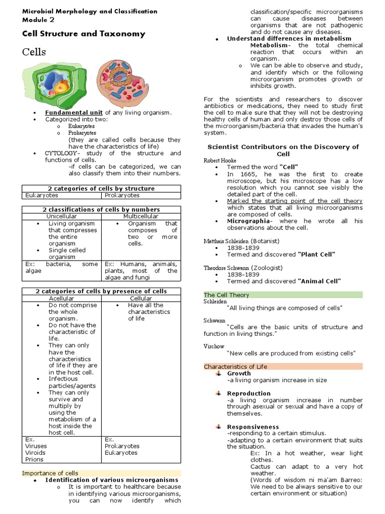 Microbial Morphology and Taxonomy | PDF | Cell (Biology) | Organisms