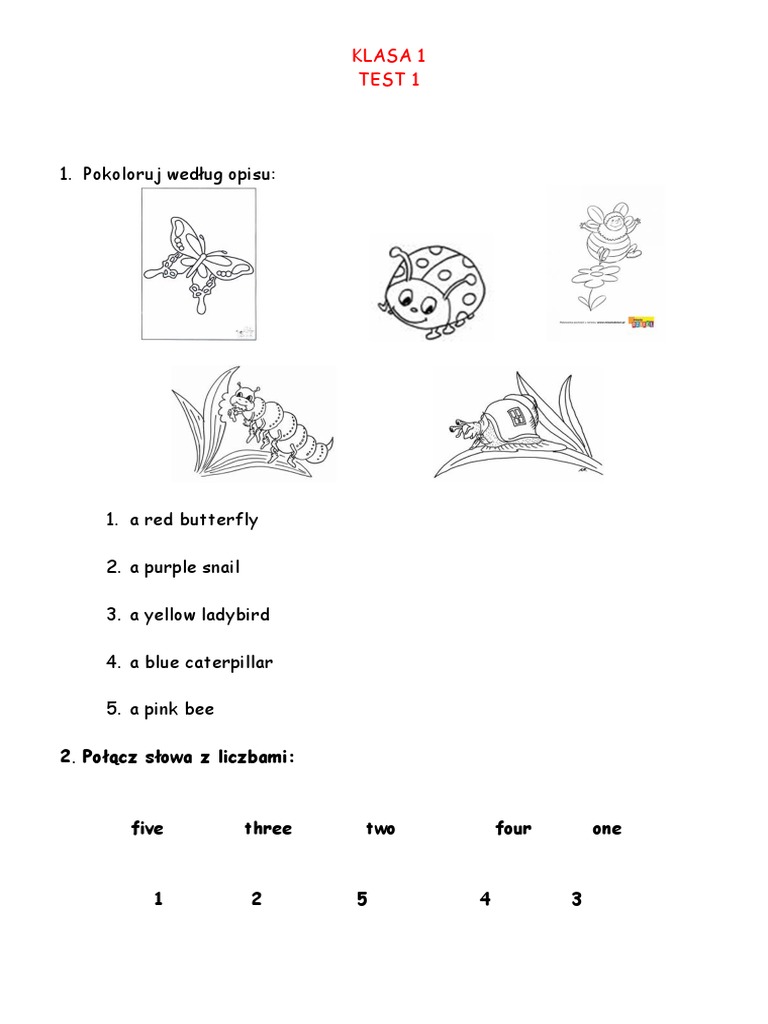 Testy | PDF