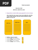 Fisa de Lucru Articol Si Substantiv | PDF