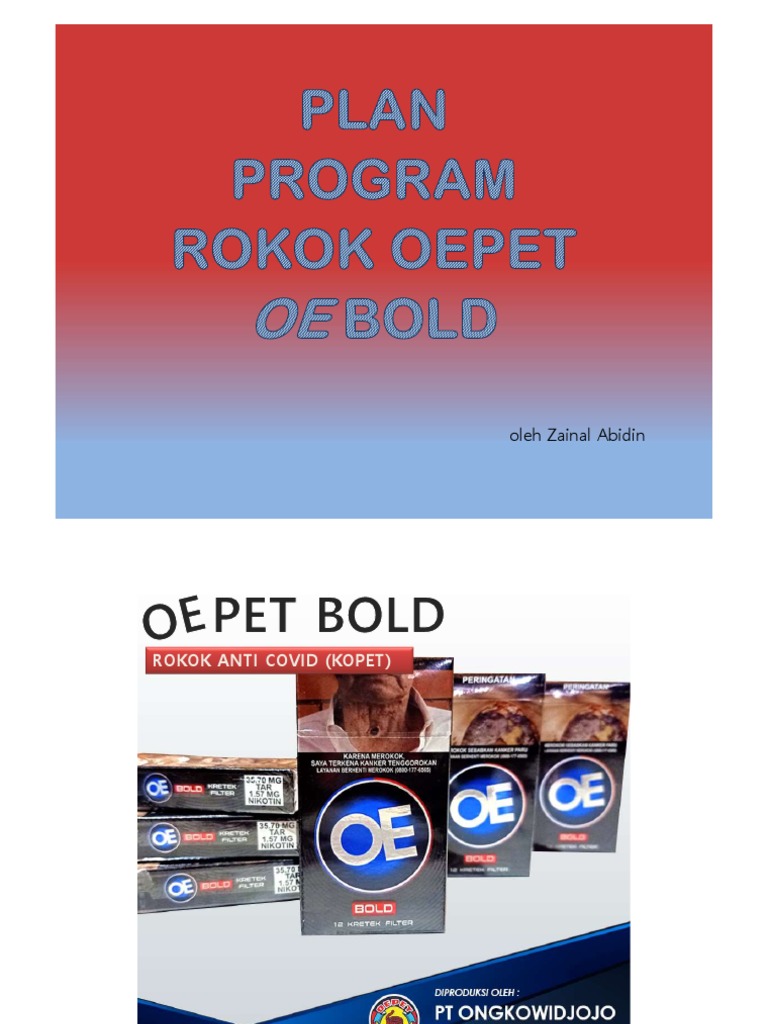 Plan Program Marketing OE Bold | PDF