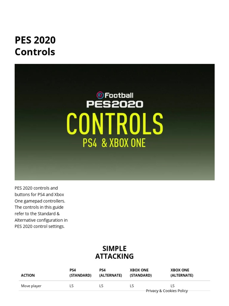 A Guide to the Standard and Alternative Controls in PES 2020 for ...