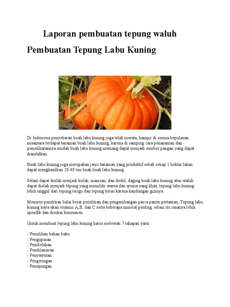 Pembuatan Tepung Labu Kuning | PDF