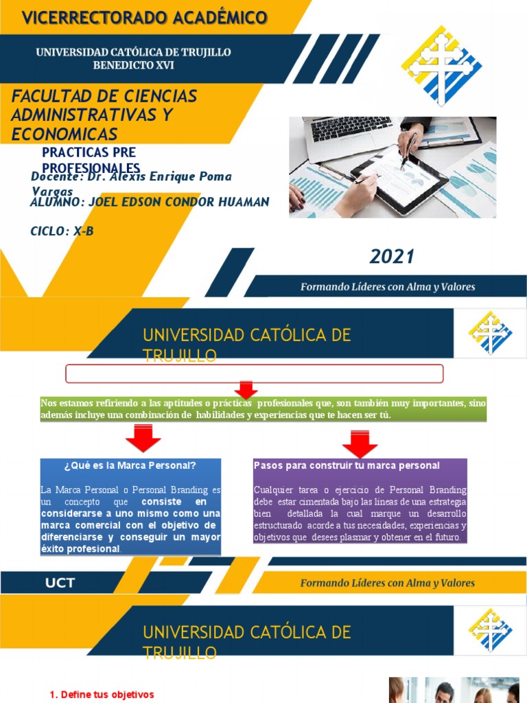 Diapositivas Uct Sesion 5 Ppprofesionales | PDF