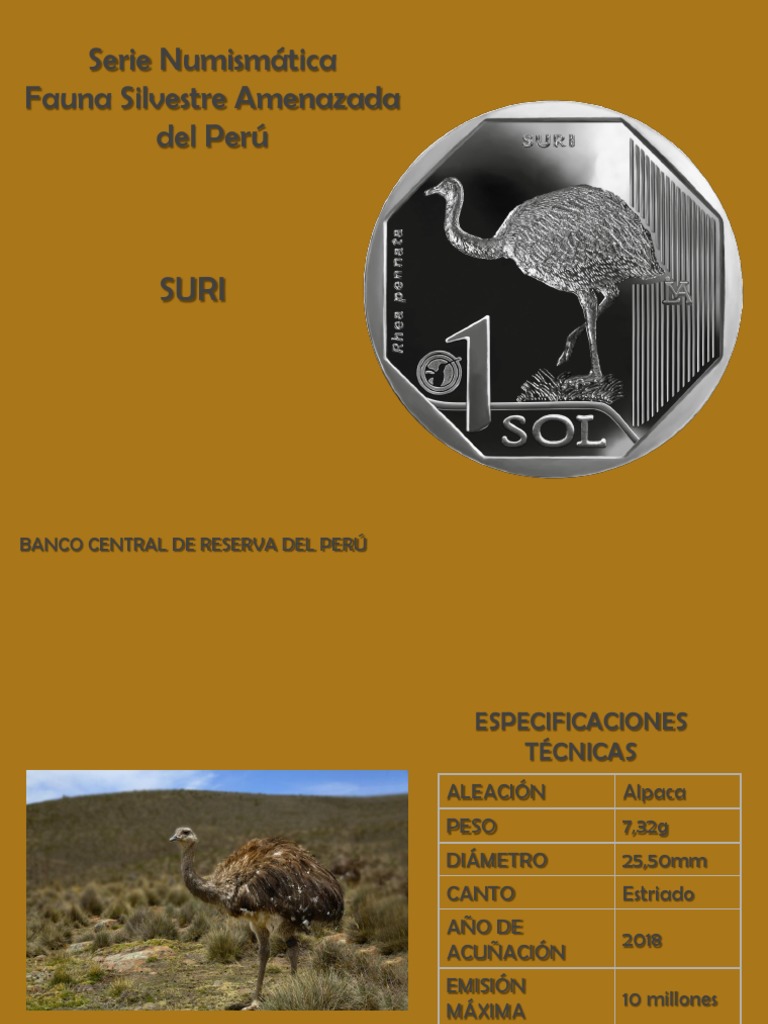 Suri Presentacion | PDF
