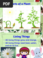 Parts of A Plant - PowerPoint | PDF | Seed | Plants