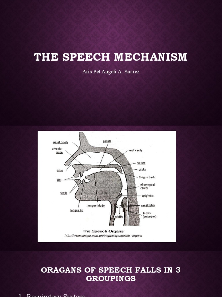 The Speech Mechanism: Aris Pet Angeli A. Suarez | PDF