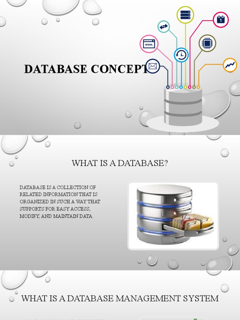 Database Concepts Class 12 Computer Science | PDF | Databases ...