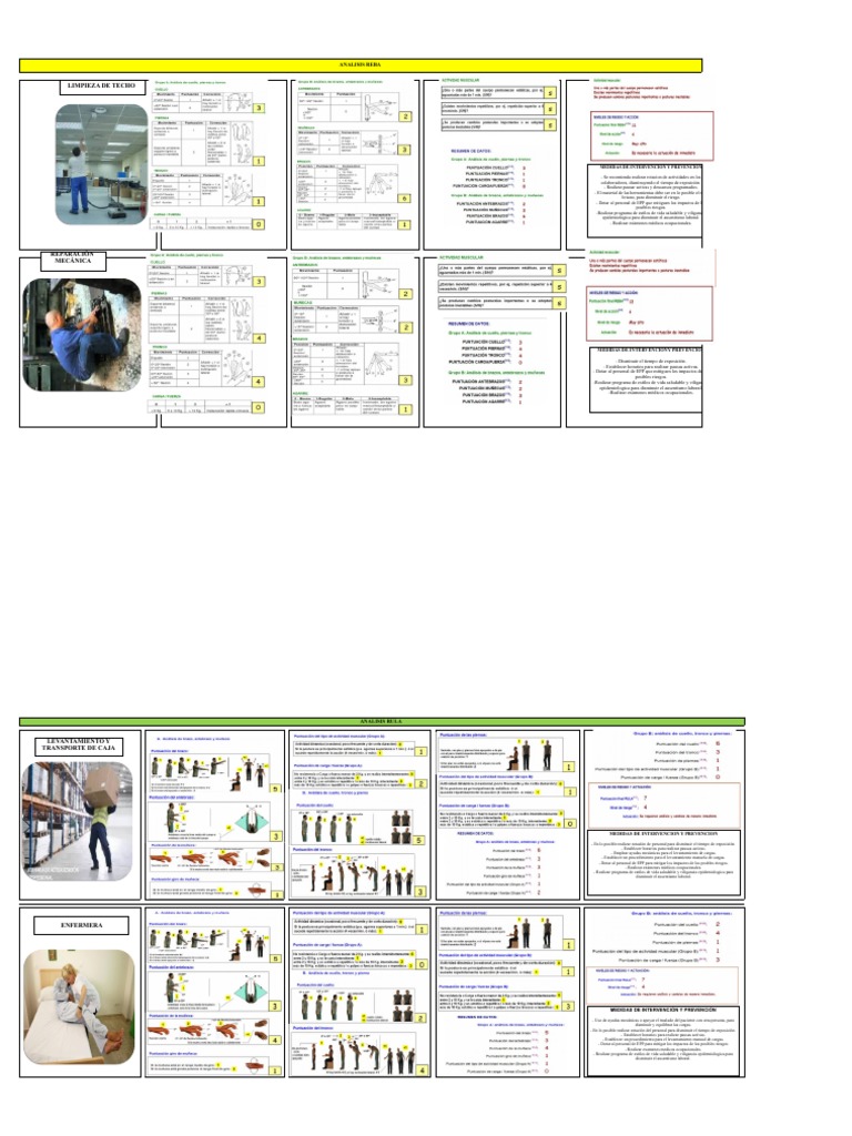 Analisis Rula y Reba | PDF | Ciencias de la Salud | Medicina