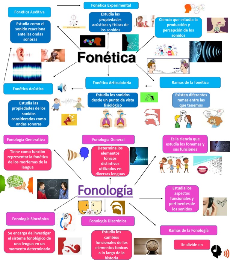 Mapa Conceptual de Fonética y Fonología | PDF | Artes del Lenguaje y ...