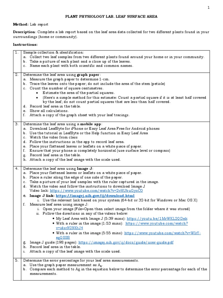 2021 Lab 4 Leaf Surface Area Lab | PDF | Leaf