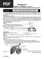 Science (Grade 9) Module | PDF | Heart | Circulatory System