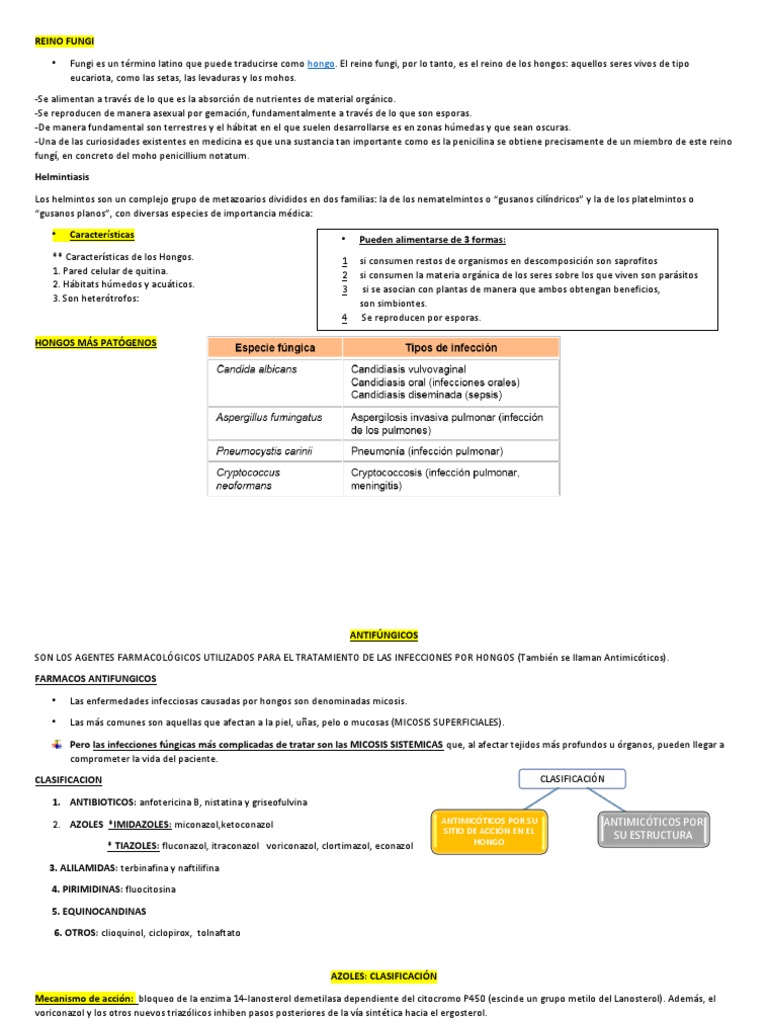 Resumen de Farmaco de Antimicotico y Antiparasitario | PDF | Hongo | Farmacocinética