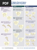 AOS Injury Classification Pocket Card THORACOLUMBAR | PDF | Spinal Cord ...