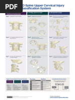 AOS - Injury - Classification - Pocket - Card SUBAXIAL | PDF | Vertebra ...