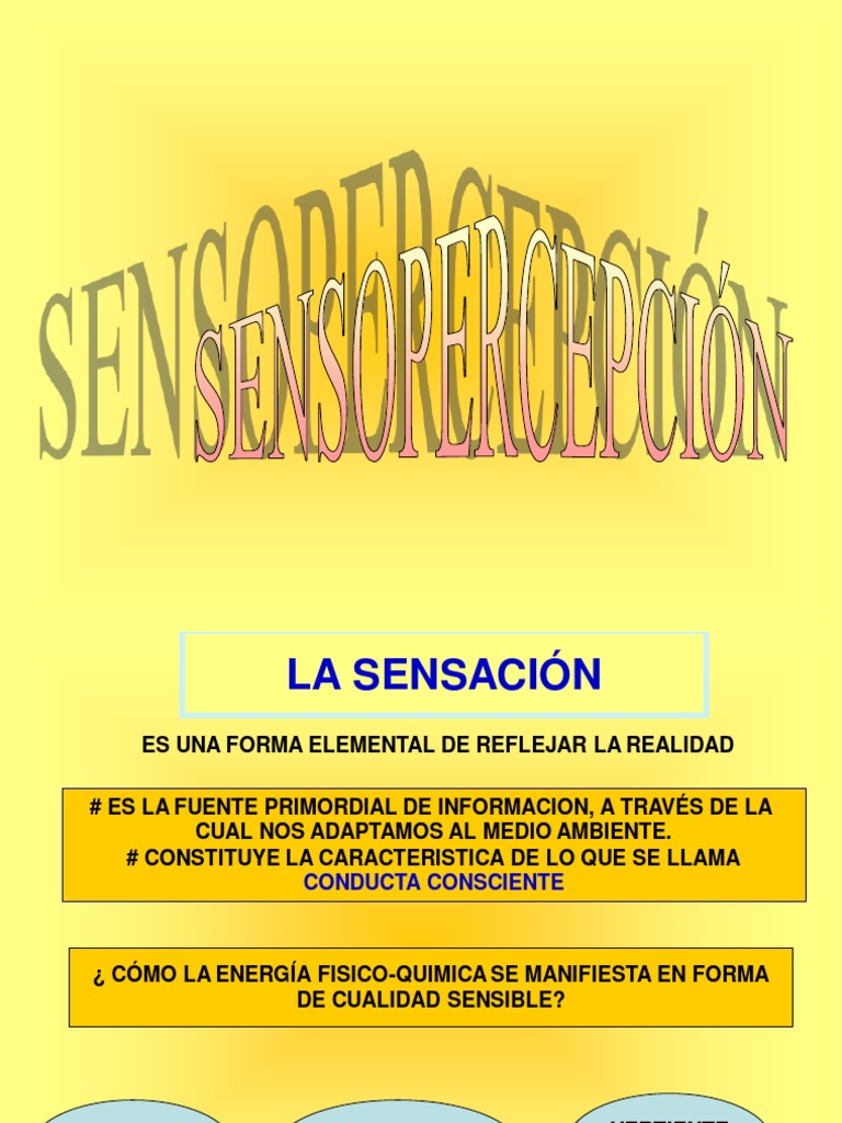 Trastornos de La Sensopercepción | PDF | Percepción | Sentidos