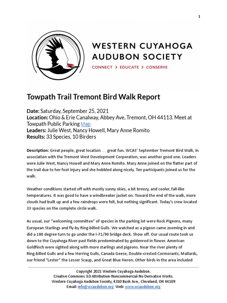Towpath Trail Tremont Bird Walk September 25, 2021 Report | PDF ...