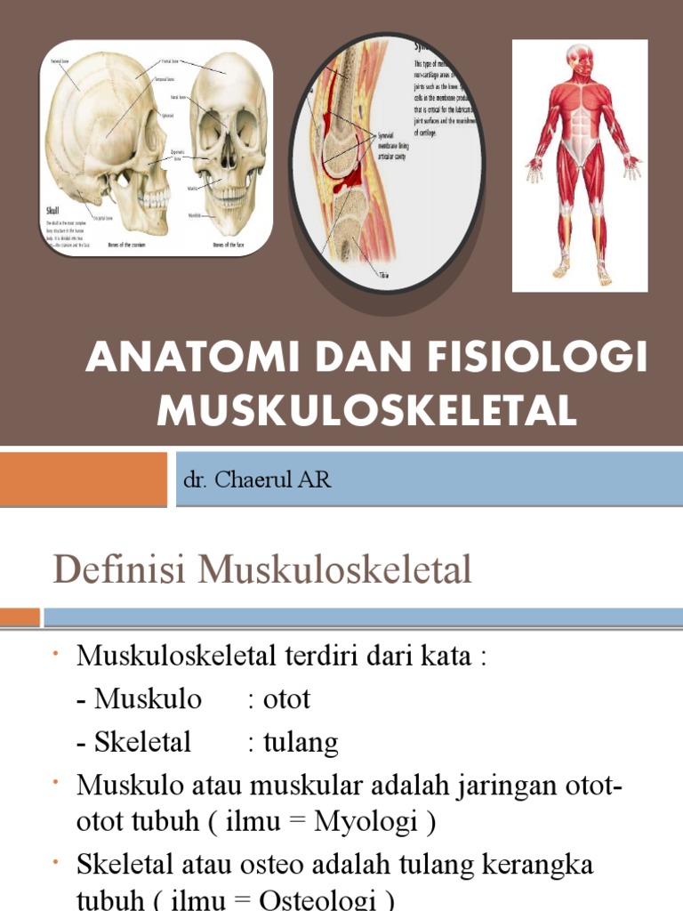 Anatomi Dan Fisiologi Sistem Muskuloskeletal | PDF