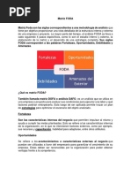 Matriz FODA (Maxi-Mini) | PDF