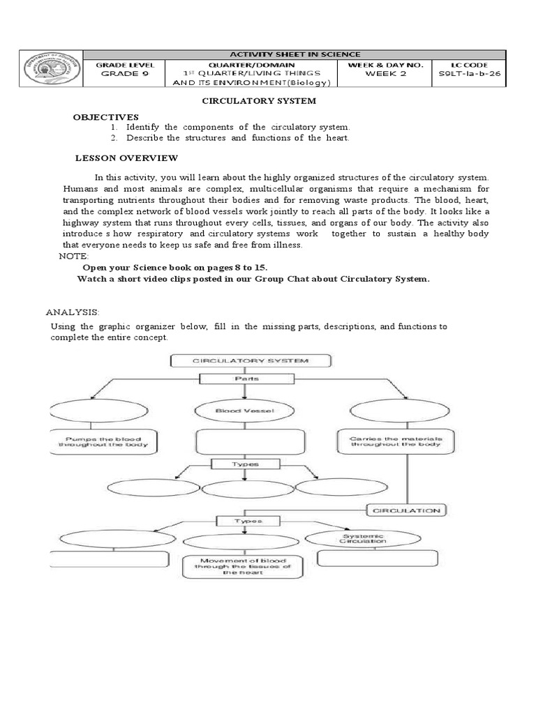 An In-Depth Look at the Components and Functions of the Circulatory ...