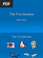 My Five Senses Labels | PDF