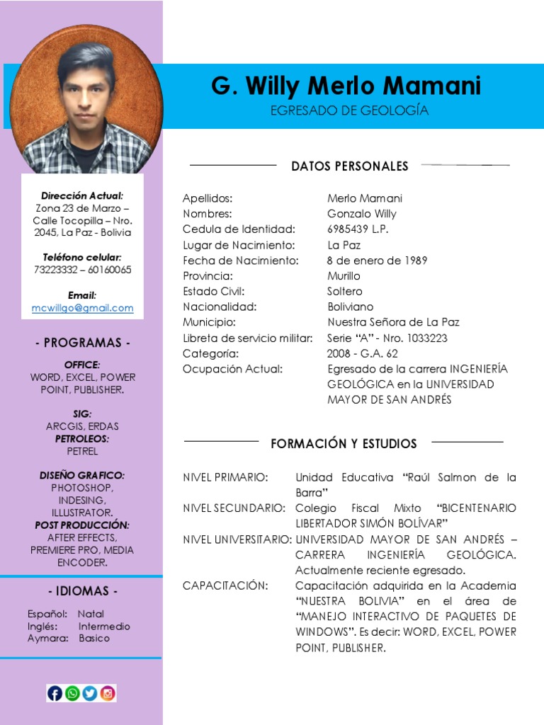 CV 2020 - Willy Merlo | PDF | Bolivia | Software