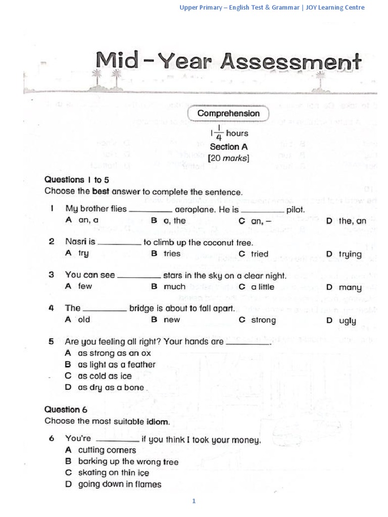 Upper Primary English Test & Grammar | PDF