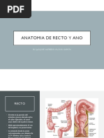 Anatomia de Mesorecto | PDF | Cáncer colonrectal | Cirugía