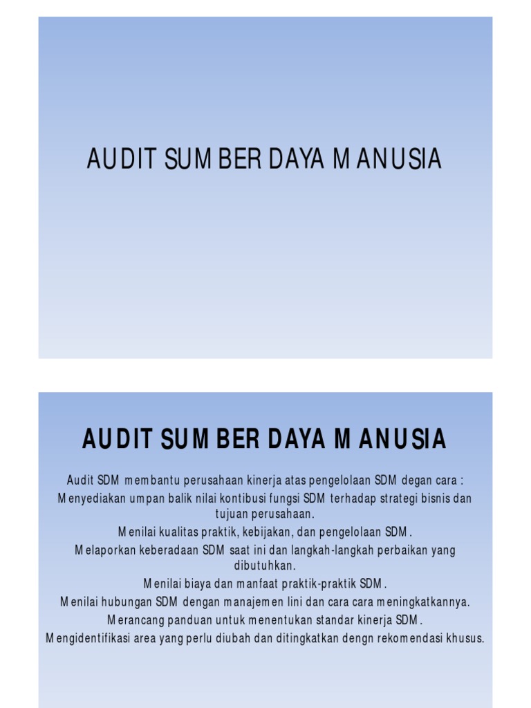 AIV. Audit SDM | PDF