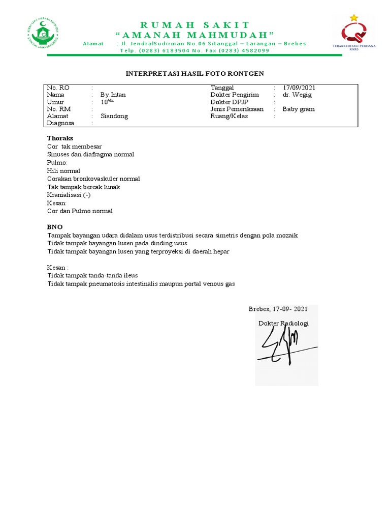Baby Gram Normal | PDF