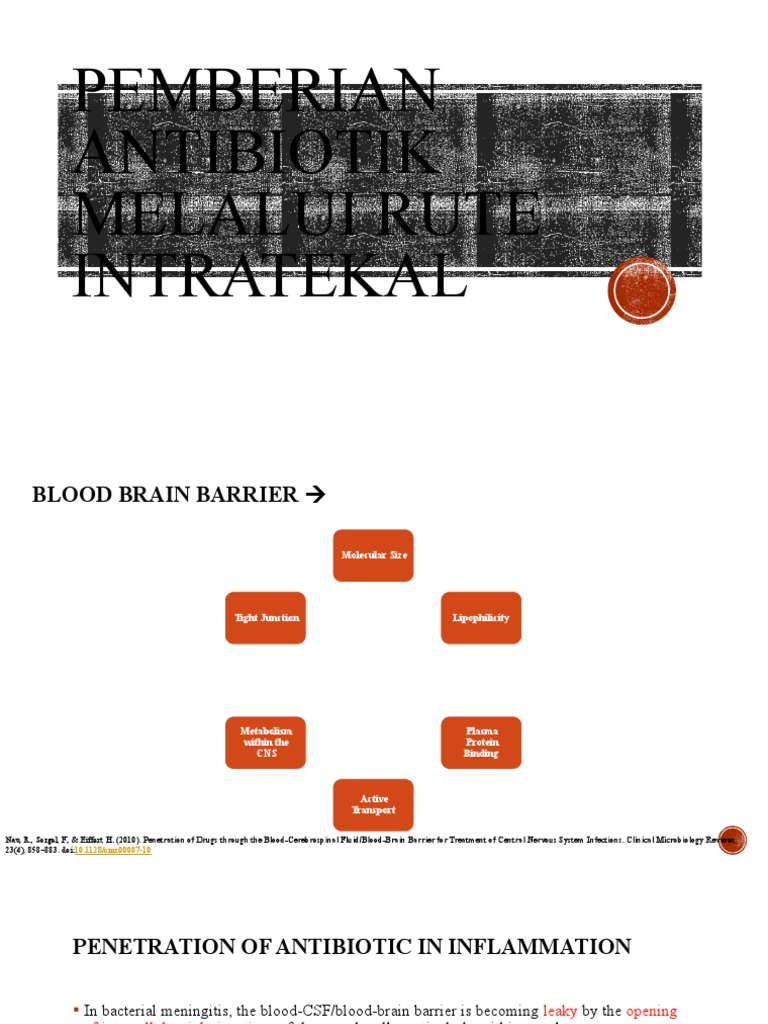 Pemberian Antibiotik Melalui Rute Intratekal | PDF | Cerebrospinal ...