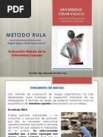 Tablas RULA | PDF | Factores humanos y ergonomía | Science