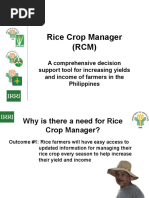 Understanding RCEF and Implication To Rice Farmers | PDF | Loans ...