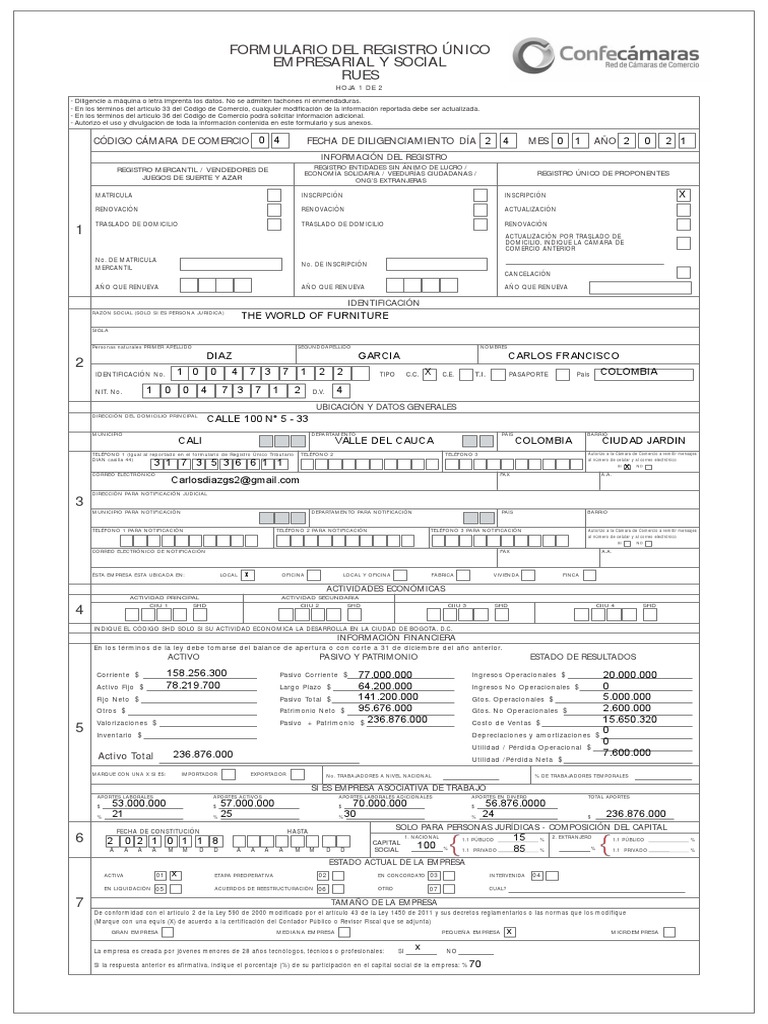 Formulario RUES | PDF | Cooperativa | Economias