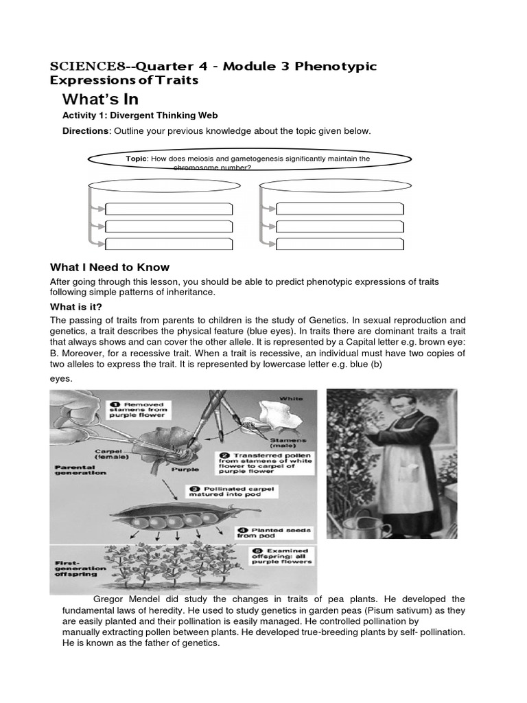 Sci8 q4 Module3 Week 3 | PDF | Dominance (Genetics) | Zygosity