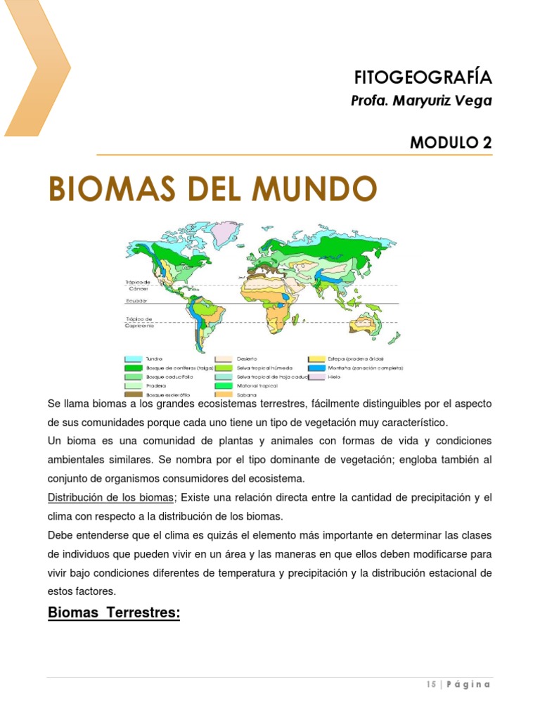 Biomas del Mundo: Características y Tipos | PDF | Selva | Arboles