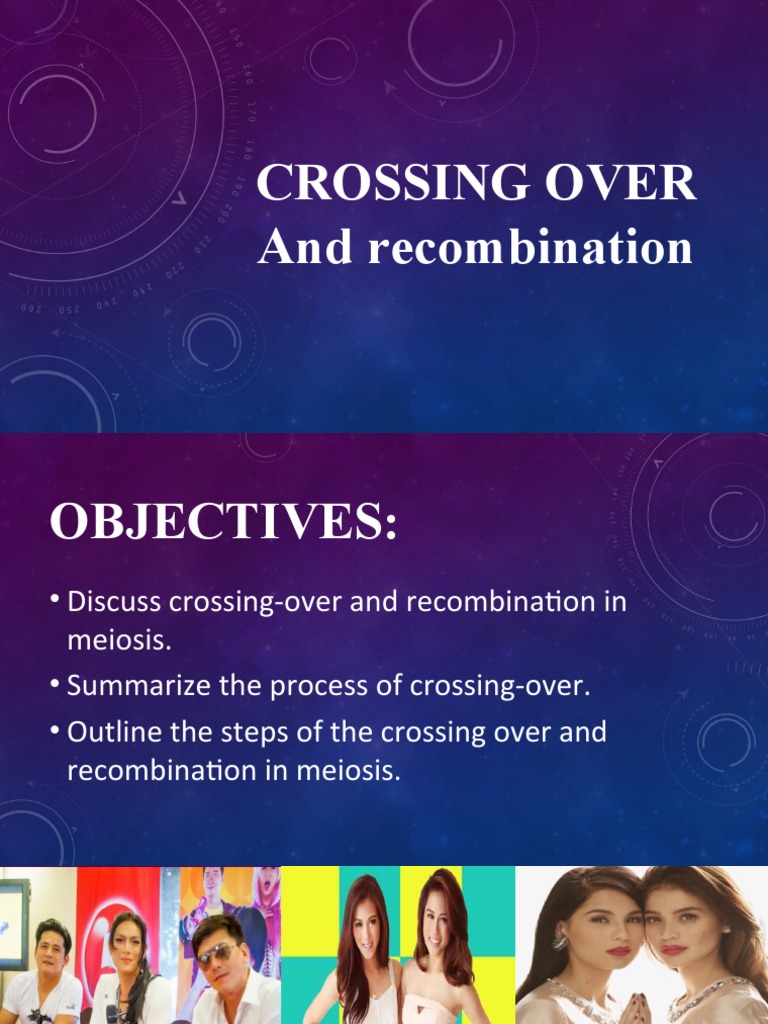 Crossing Over and Recombination | PDF