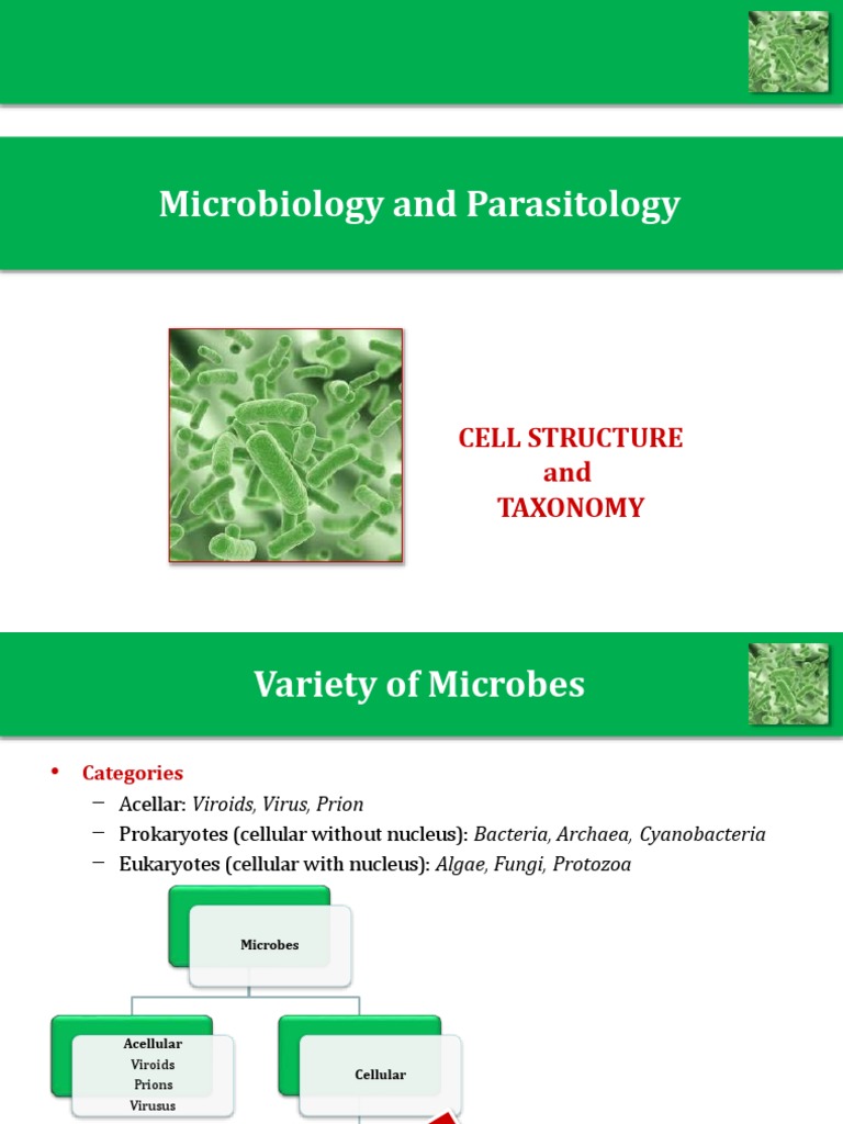 Microbiology and Parasitology: Cell Structure and Taxonomy | PDF | Cell (Biology) | Bacteria