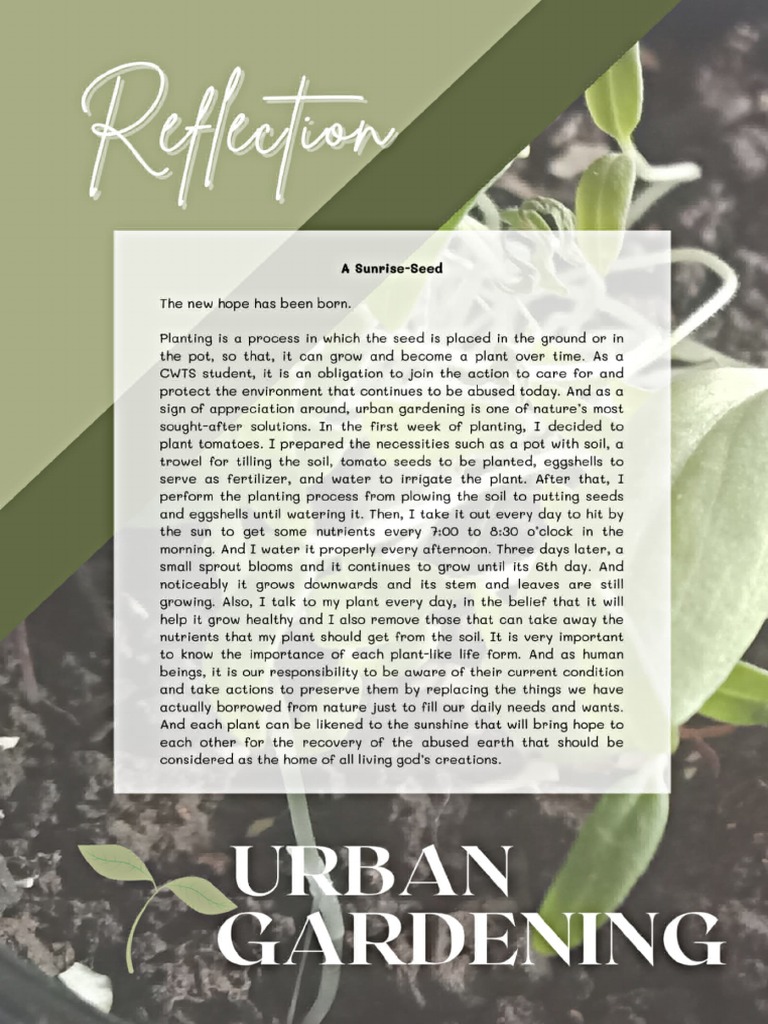 NSTP - Reflection | PDF