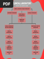 Organizational Chart Tertiary Lab | PDF | Medical Laboratory | Pathology