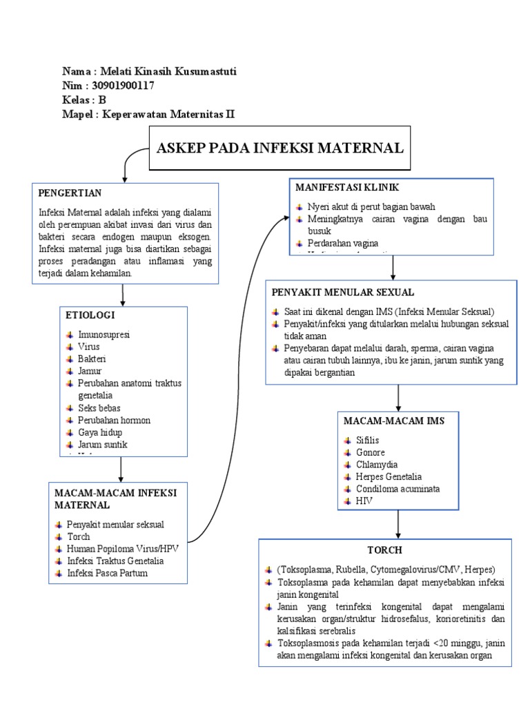 Mapping Askep Pada Infeksi Maternal - Melati Kinasih K - 30901900117 - B | PDF