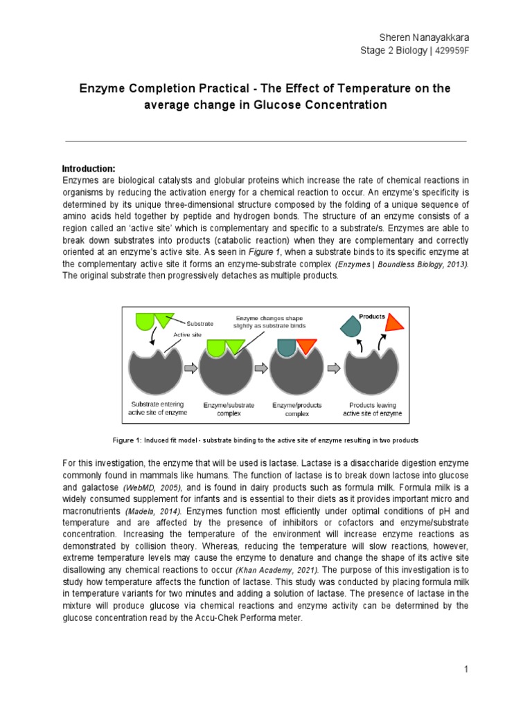 Enzyme Practical | PDF | Enzyme | Active Site