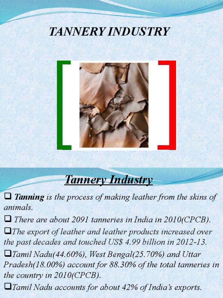 Tannery Industry 4 | PDF | Leather